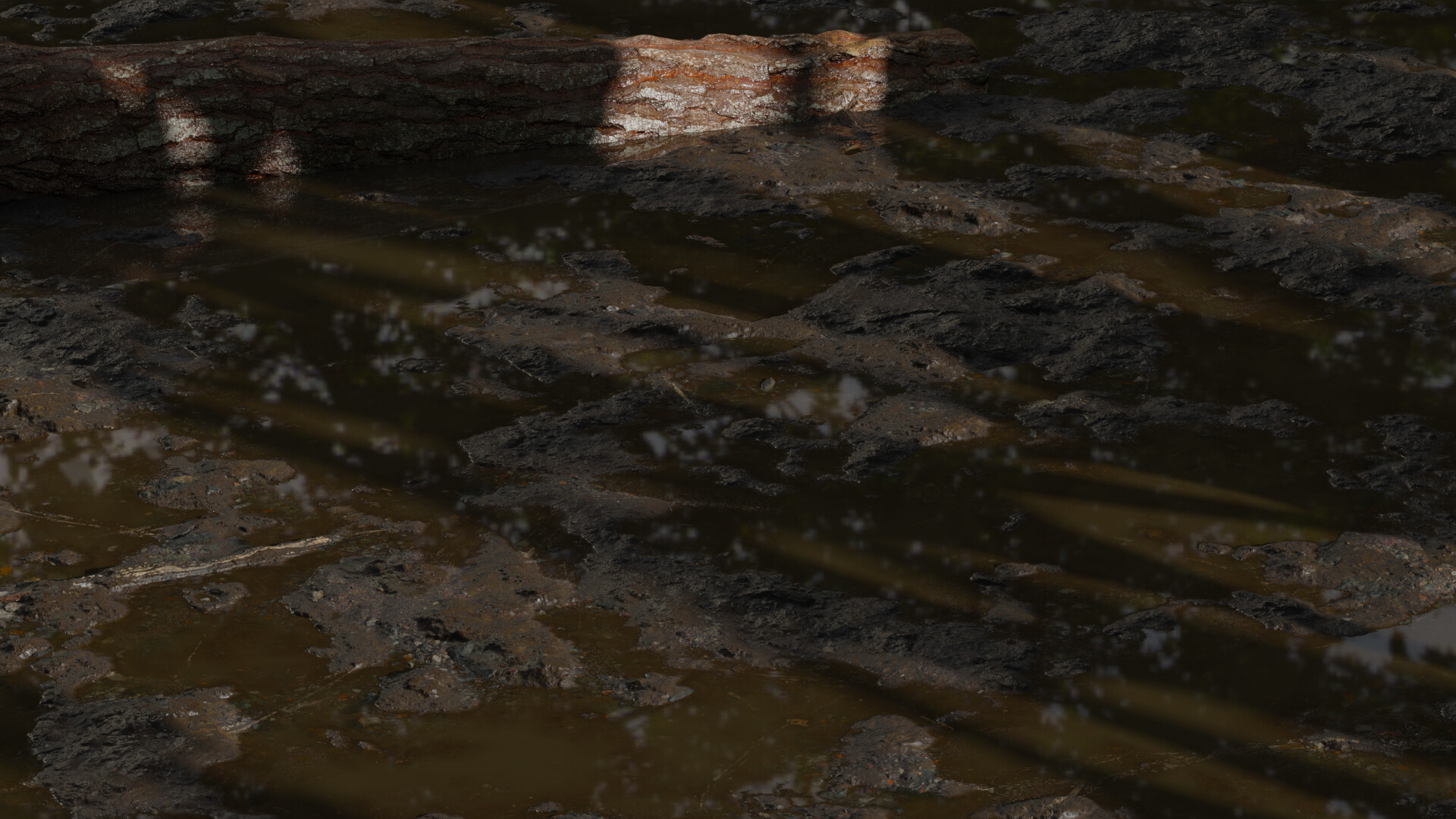 Edmond Boulet-Gilly - Muddy Forest Floor