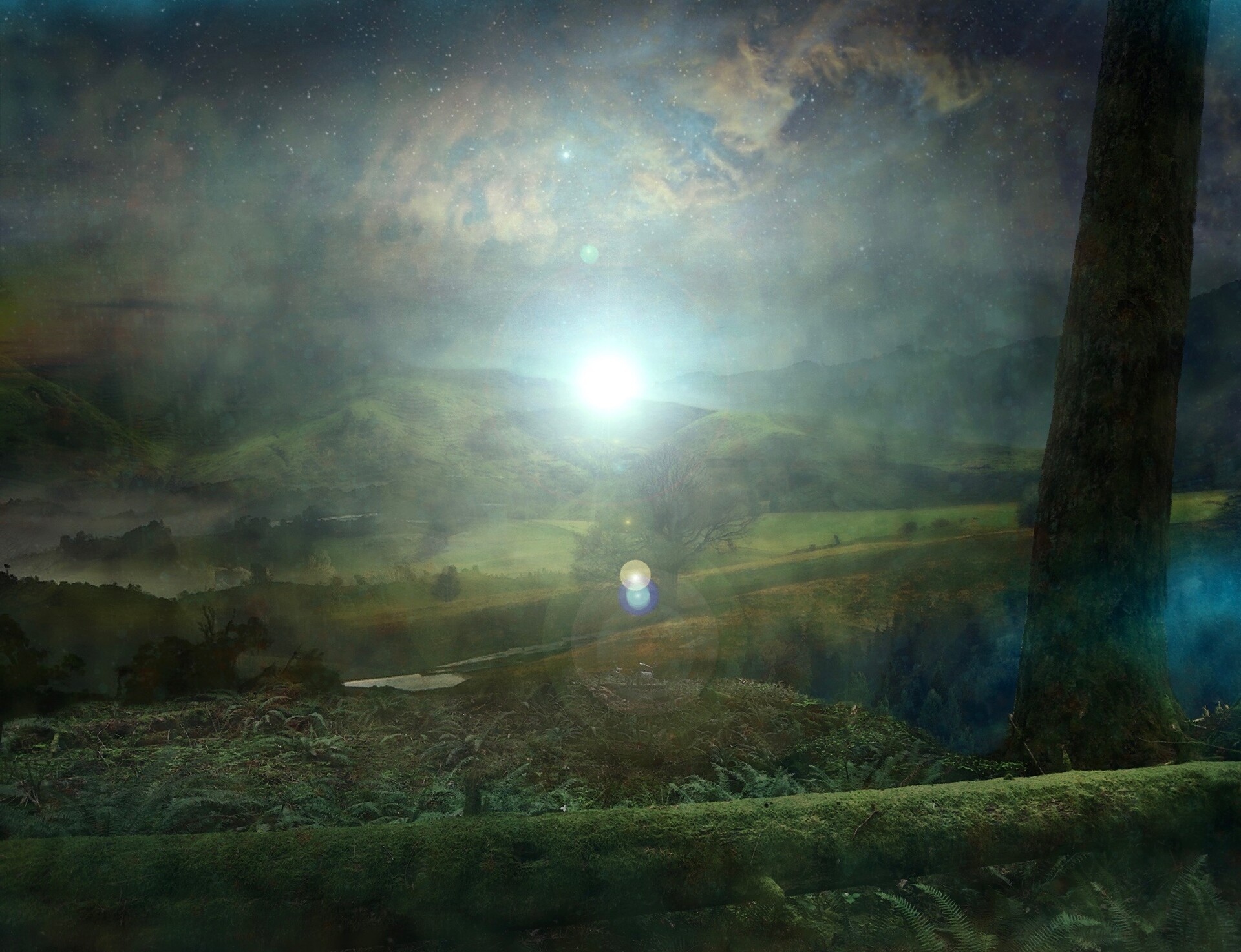 ArtStation - Wooded View - Living Land