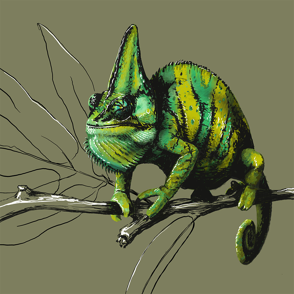 ArtStation - Chameleon