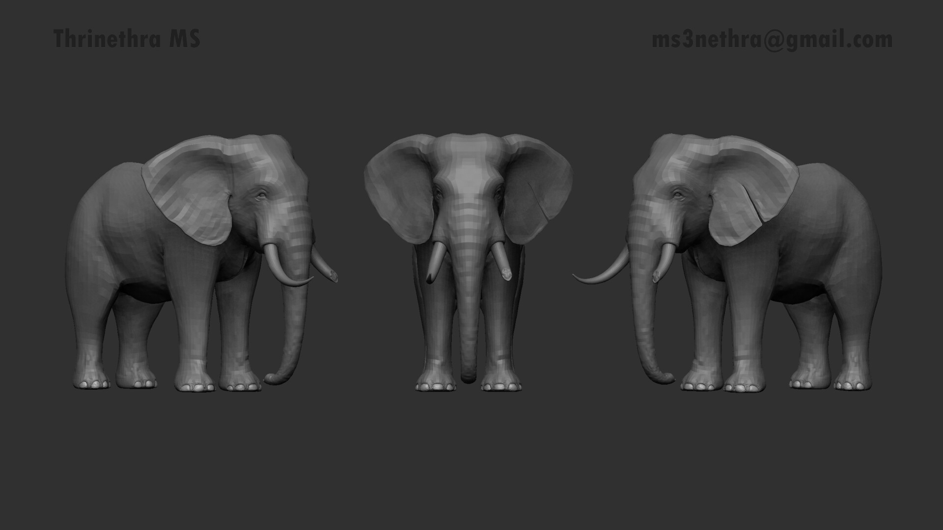 ArtStation - Elephant | 3D Model | Skeleton