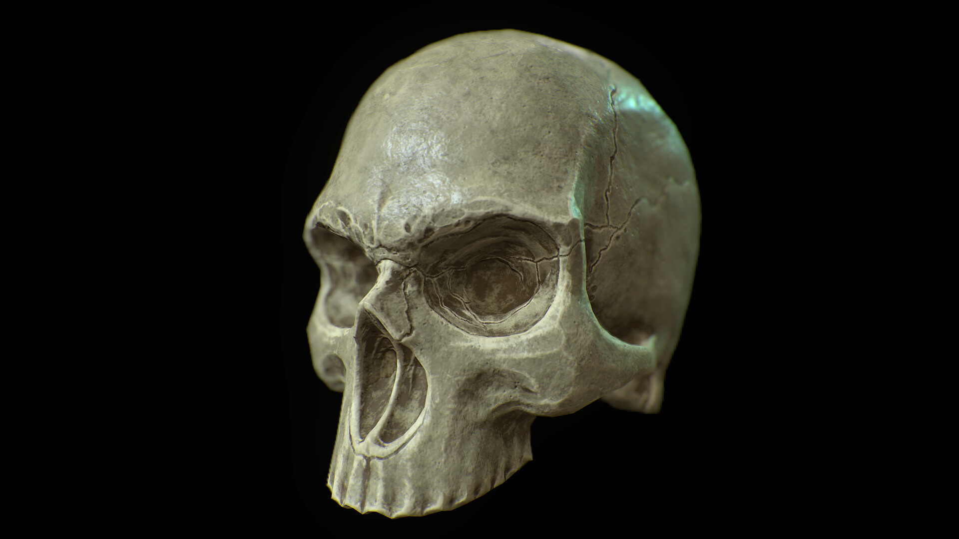 ArtStation - cranium