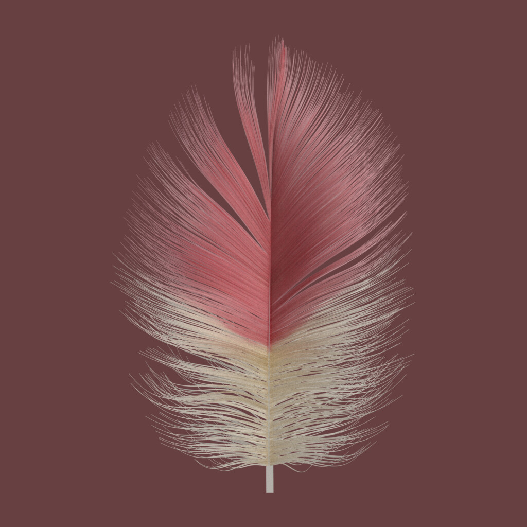 Mikkel Arildsen - Feathers in Yeti