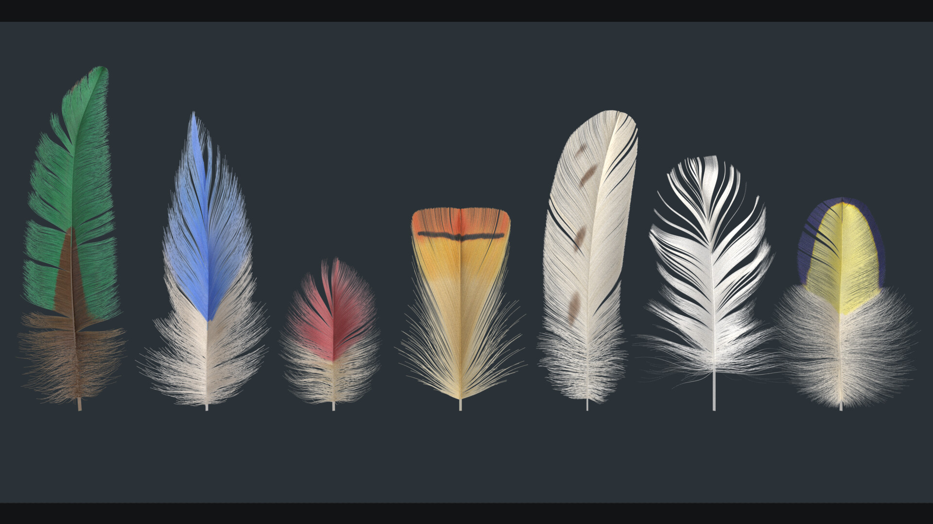 Mikkel Arildsen - Feathers in Yeti