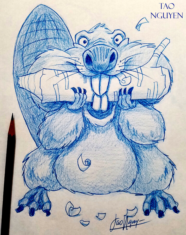 beaver drawing sketch