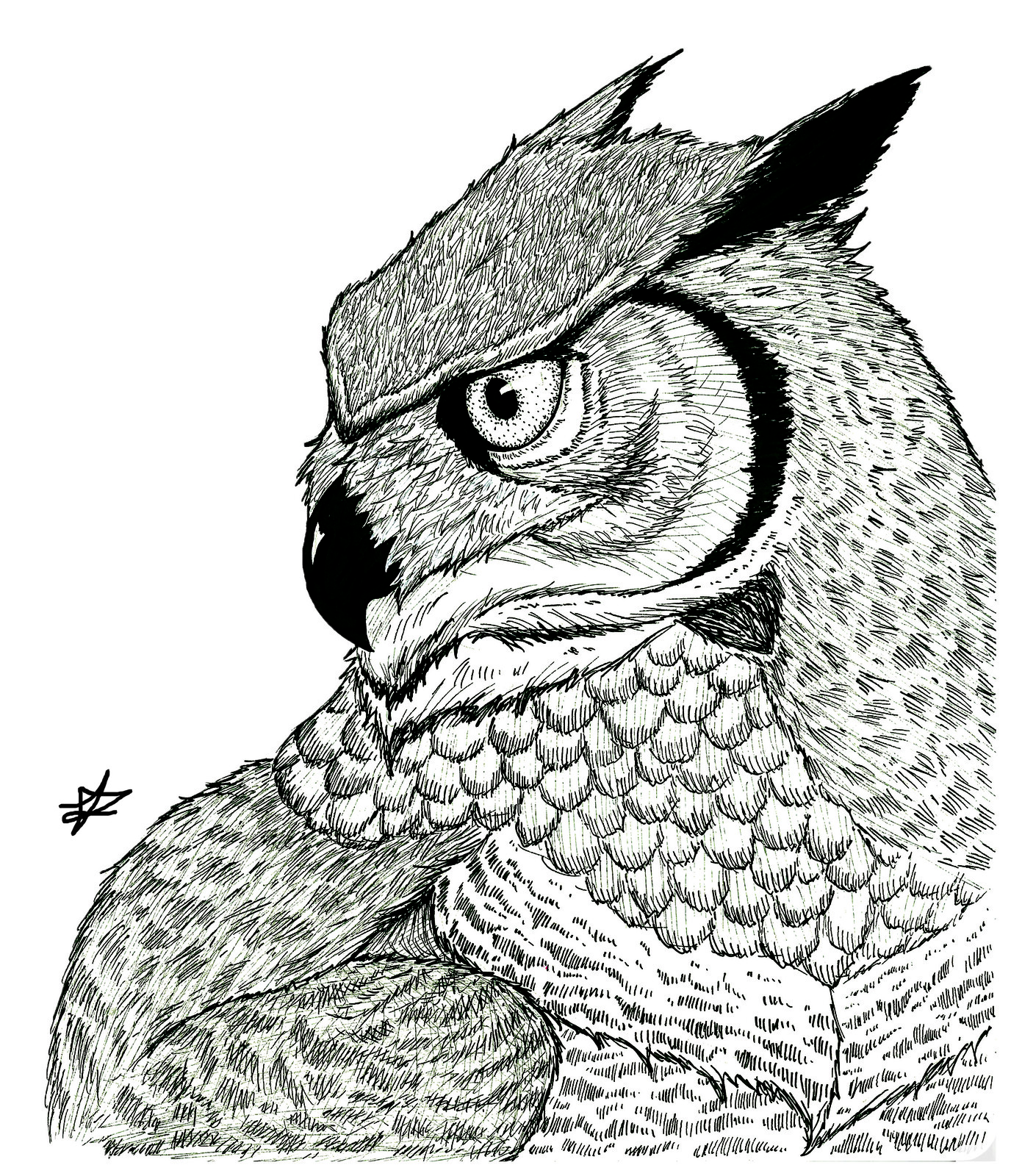 AJ Blake - Great Horned