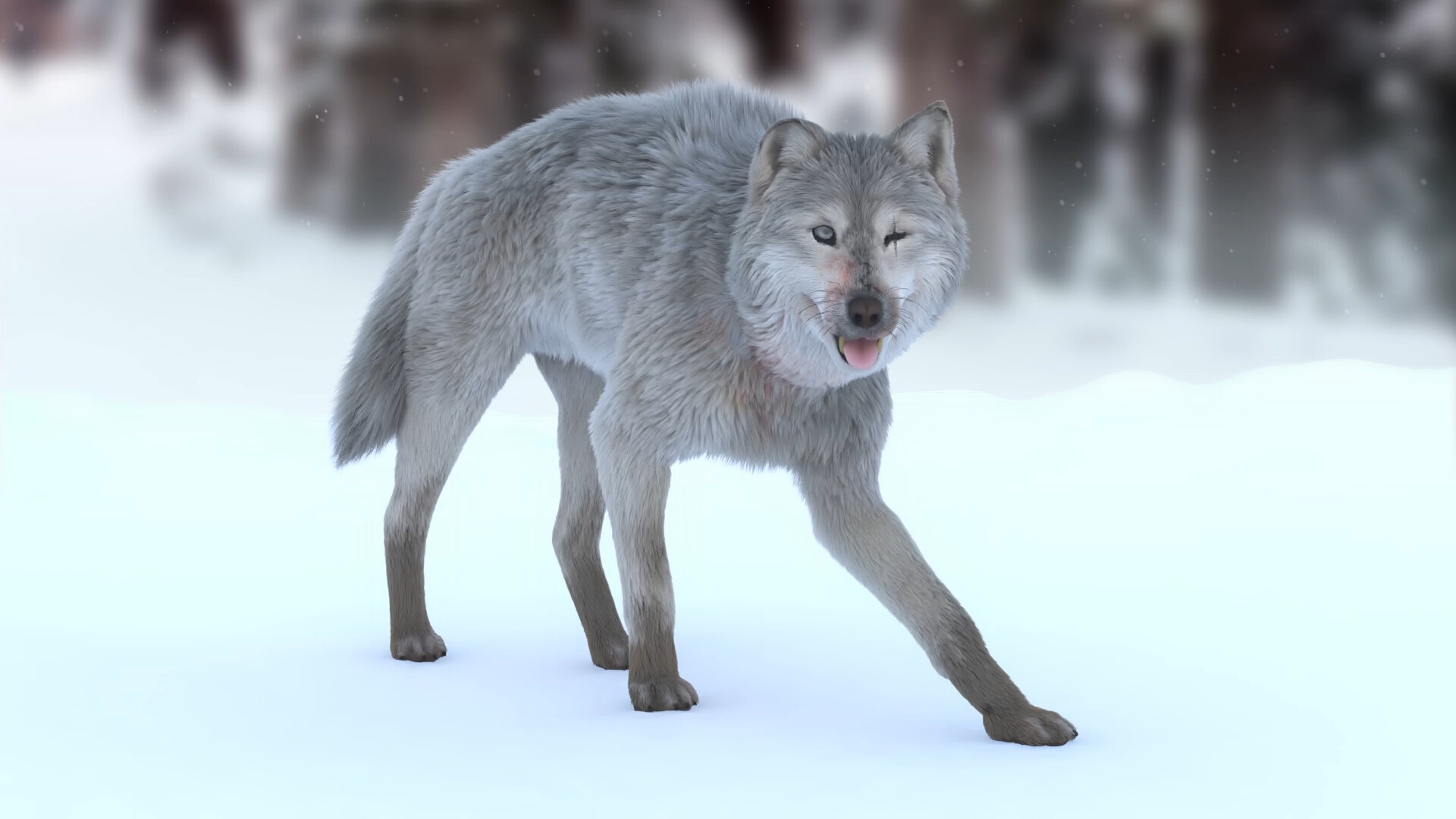 ArtStation - Snow Wolf