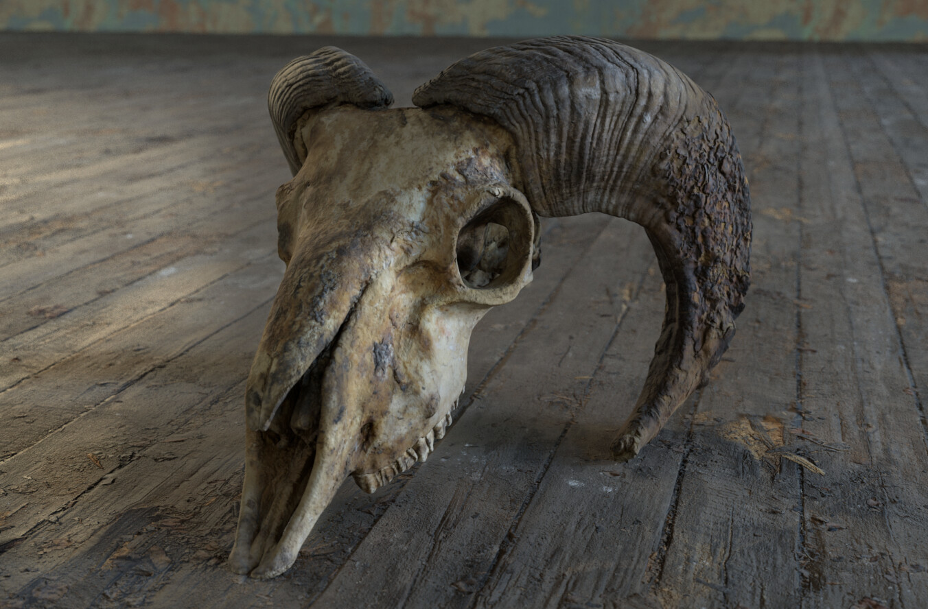 ArtStation - Megascans Ram Skull