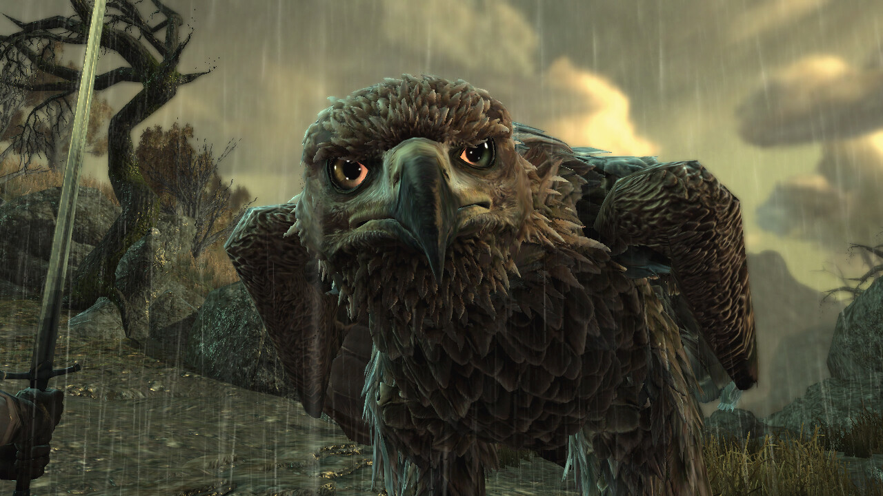 Eagles From The Lord Of The Rings