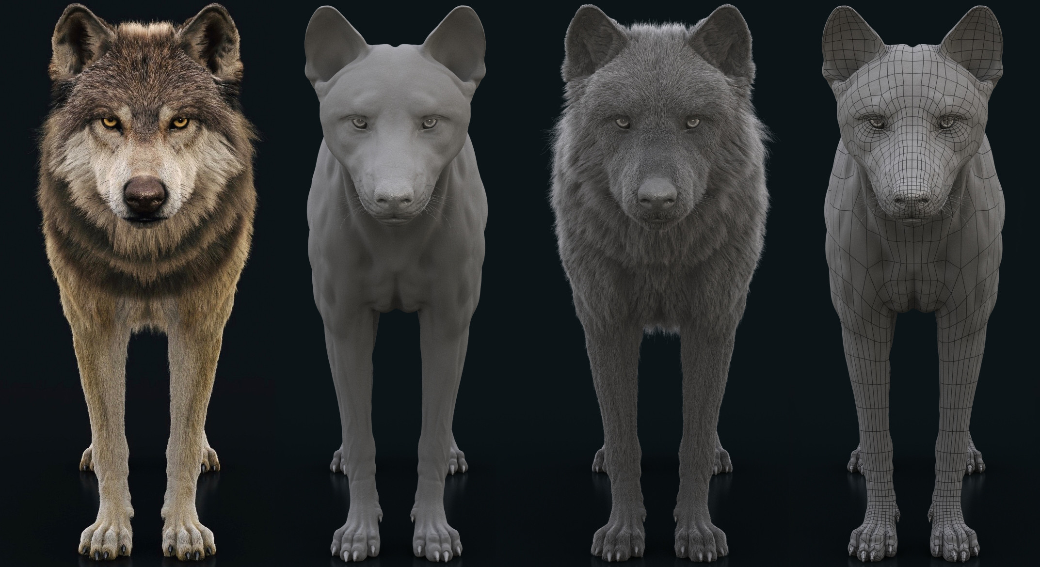 Massimo Righi - New wolf render