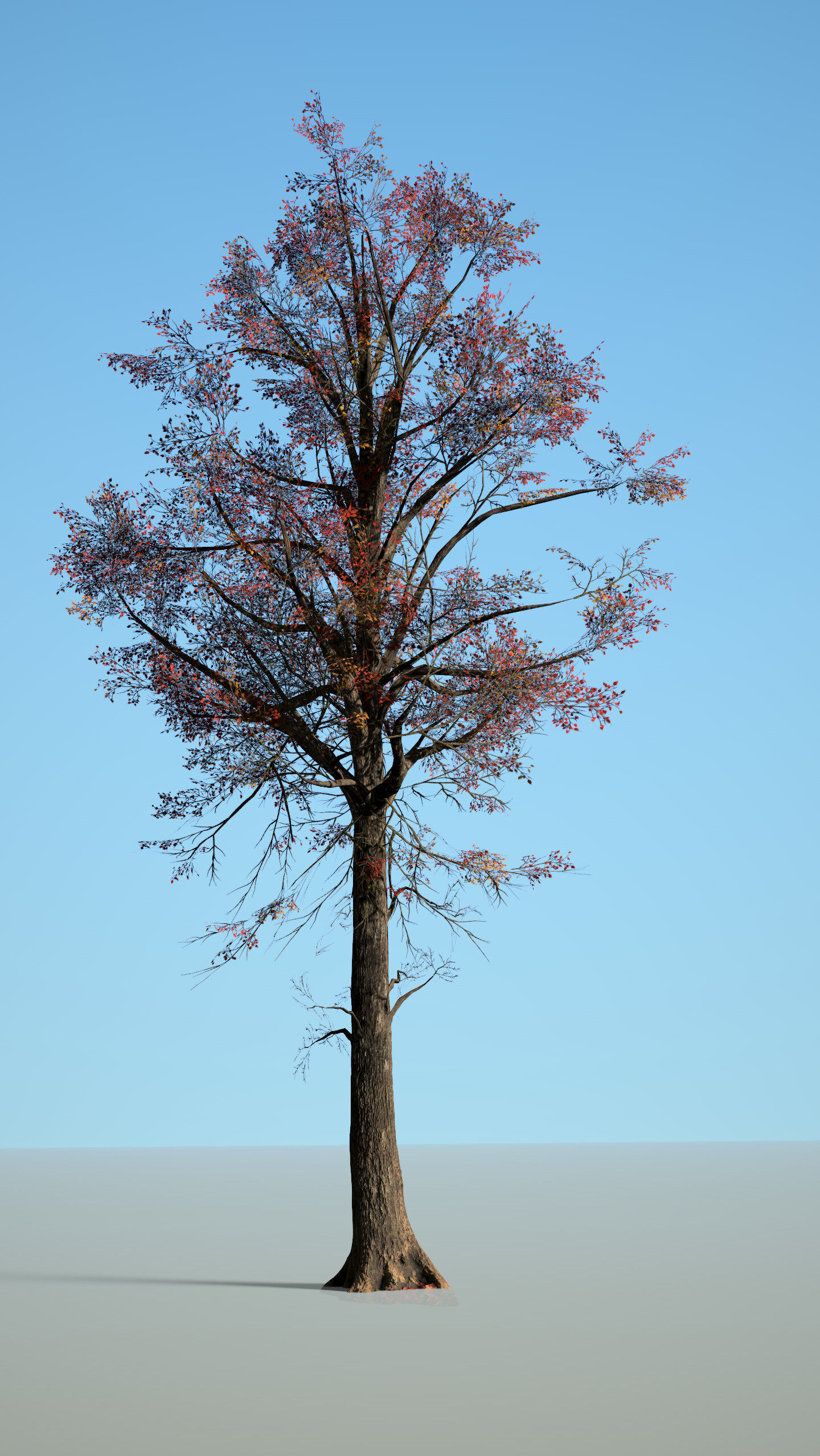 ArtStation - Iterations of Maple Tree PhotoScan