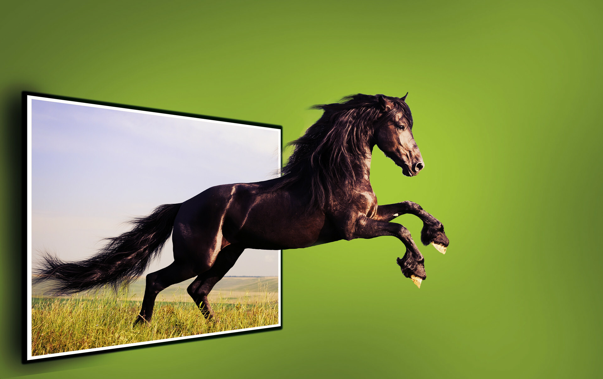 ArtStation - 3D lukn Horse