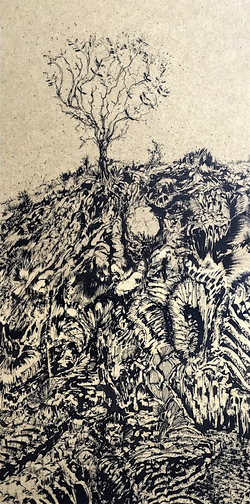 Undergrowth Drawing