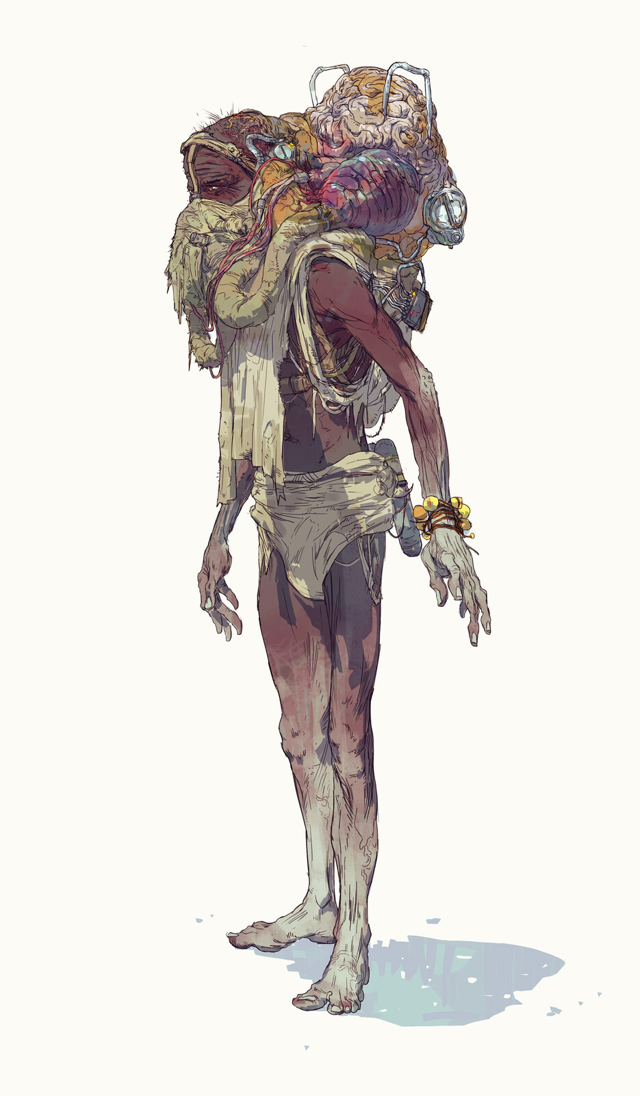Joe Peterson