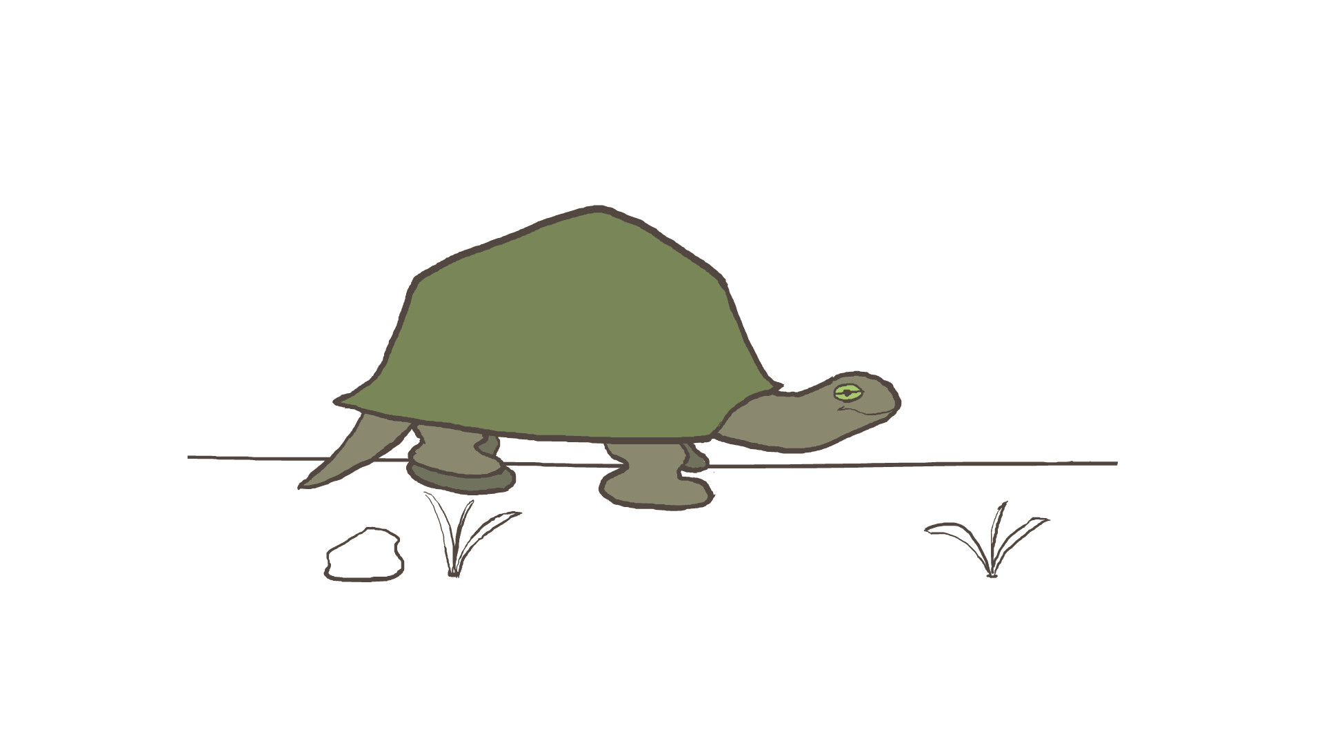 ArtStation - Turtle Walk