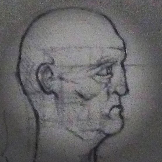 ArtStation - Anatomy of the human head