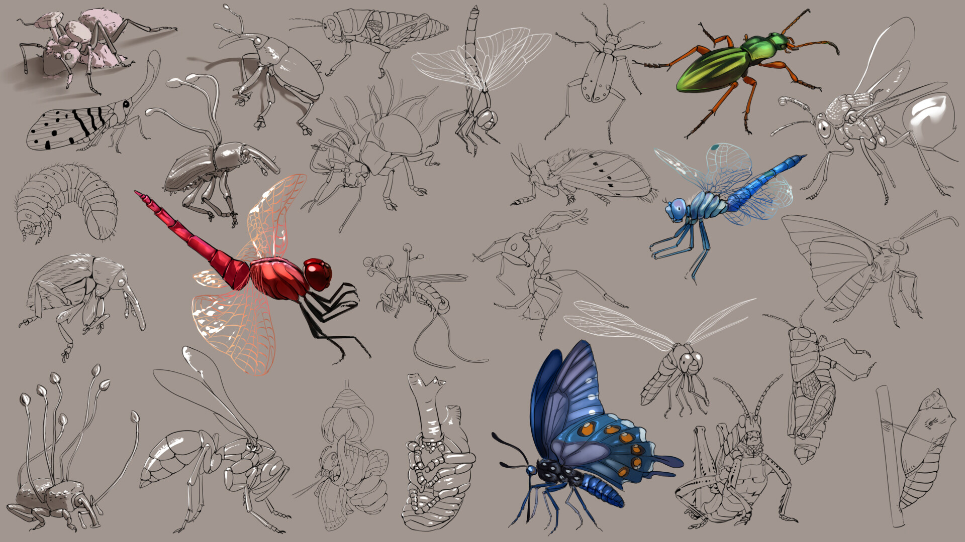 ArtStation - 250 Arthropods