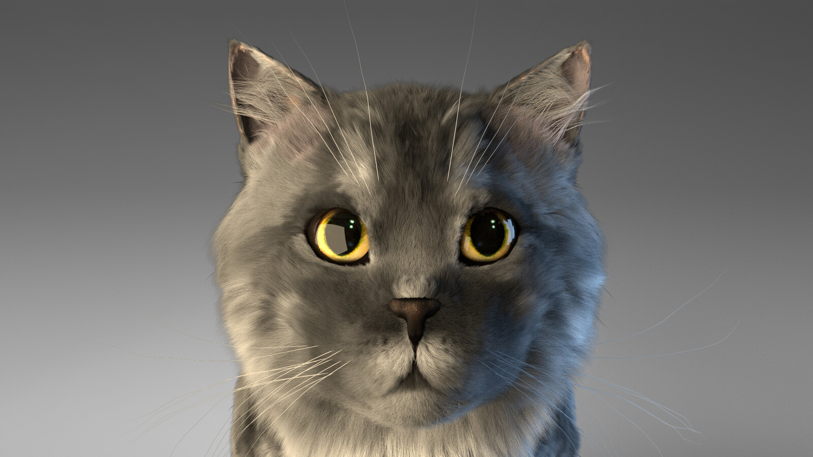 Daniela De Pieri - Mr Pucci - Cat Project