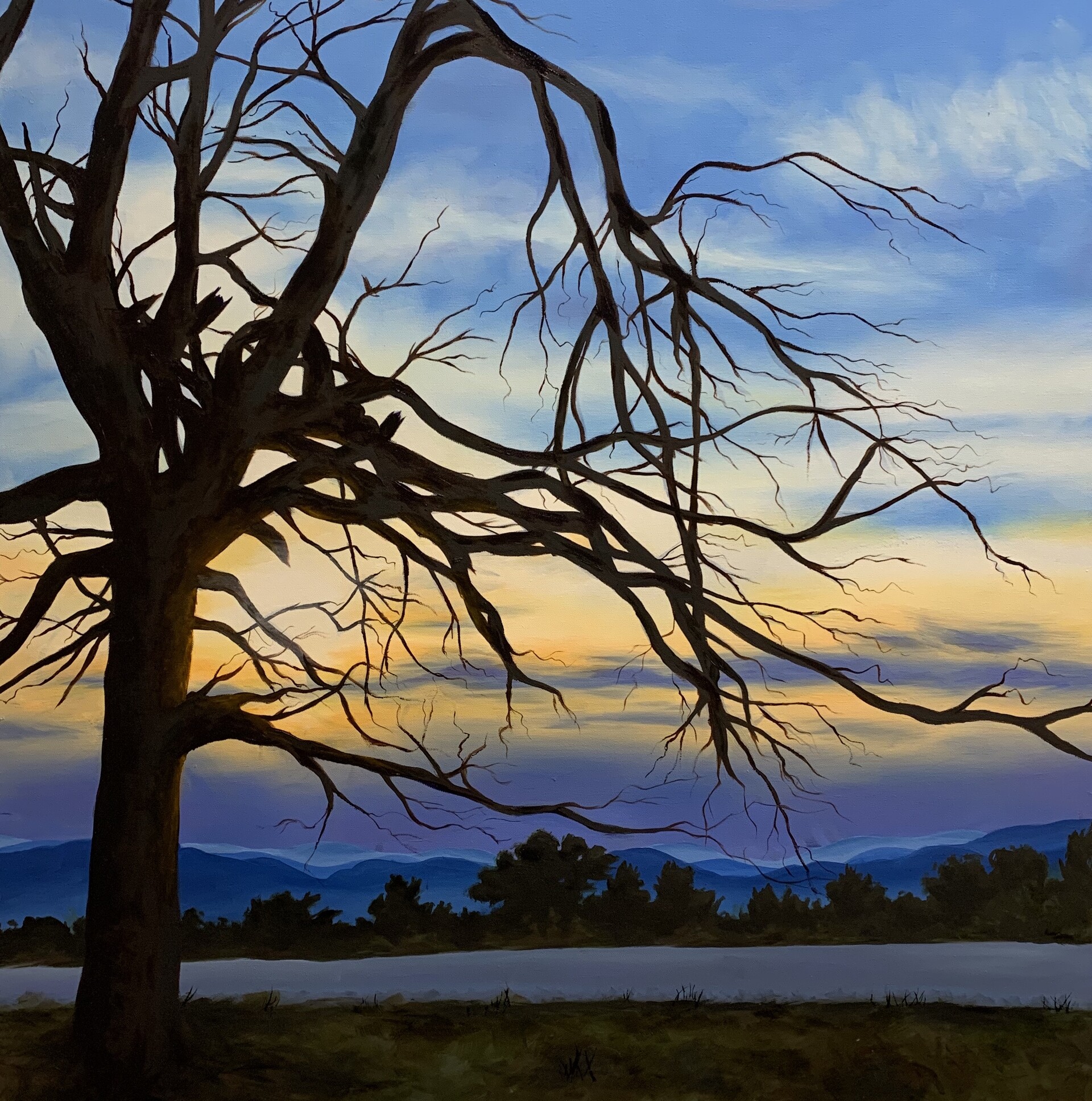 Sarah Gentile - Oklahoma Landscape