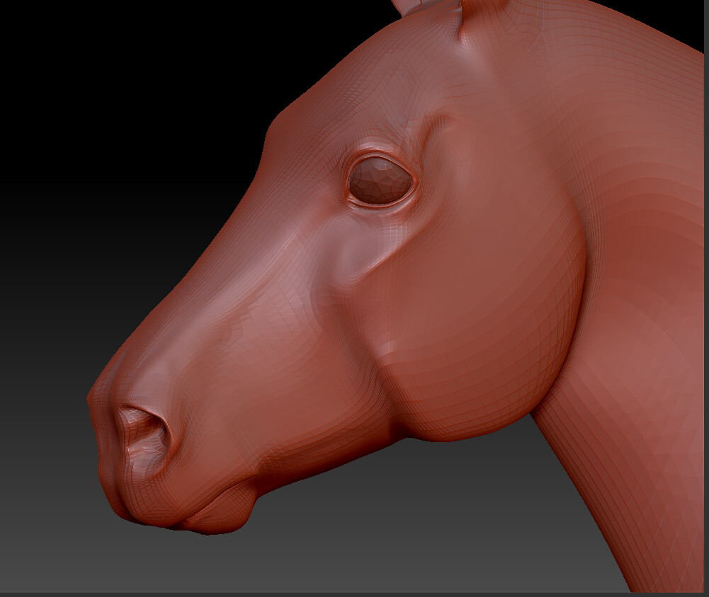 Sara Wermuth - Older projects