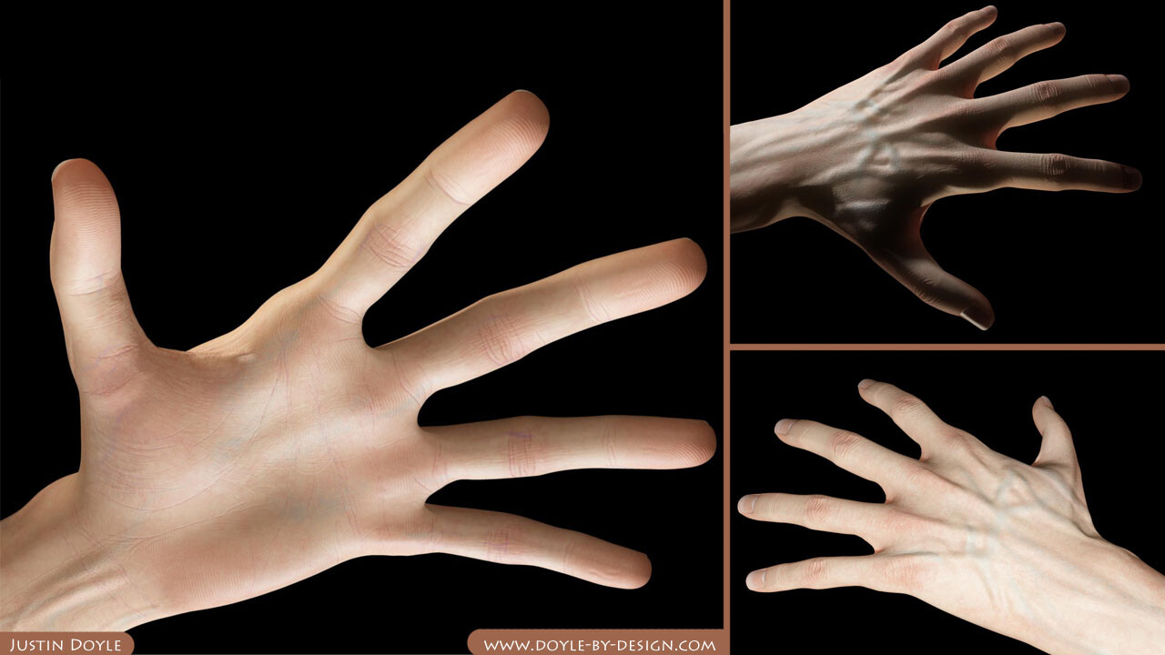 ArtStation - Hand Model