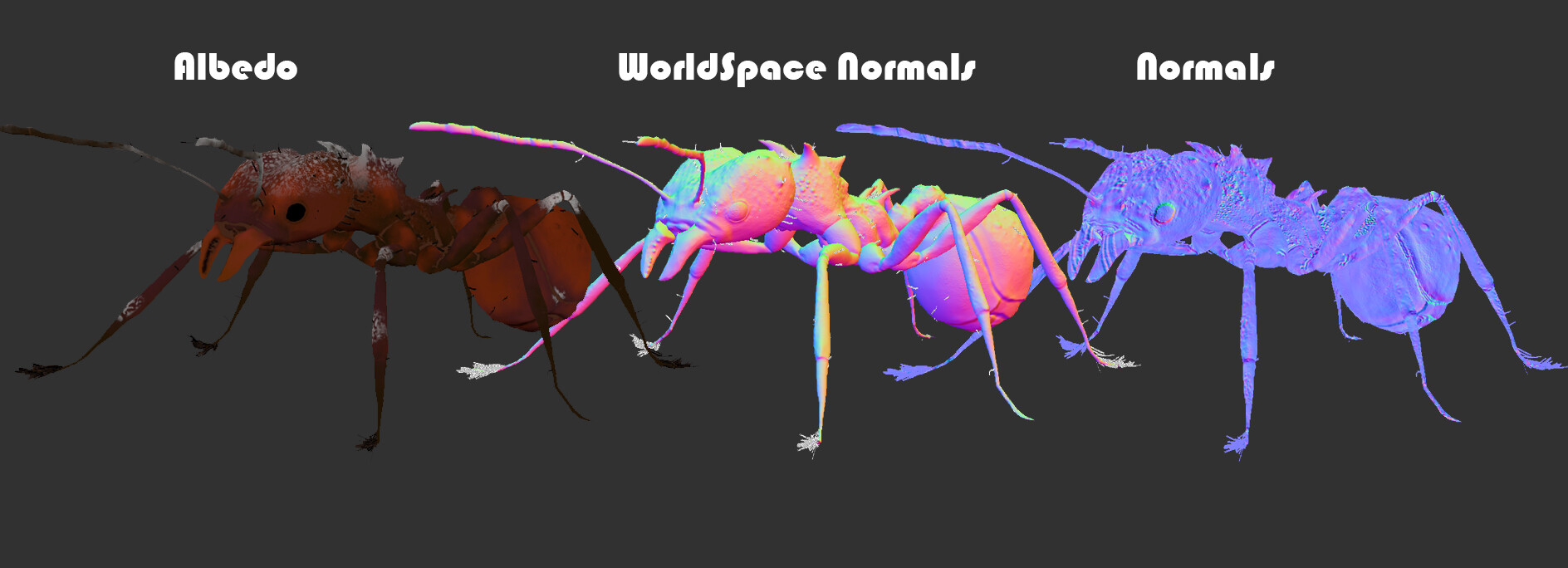 how to draw leaf cutter ants
