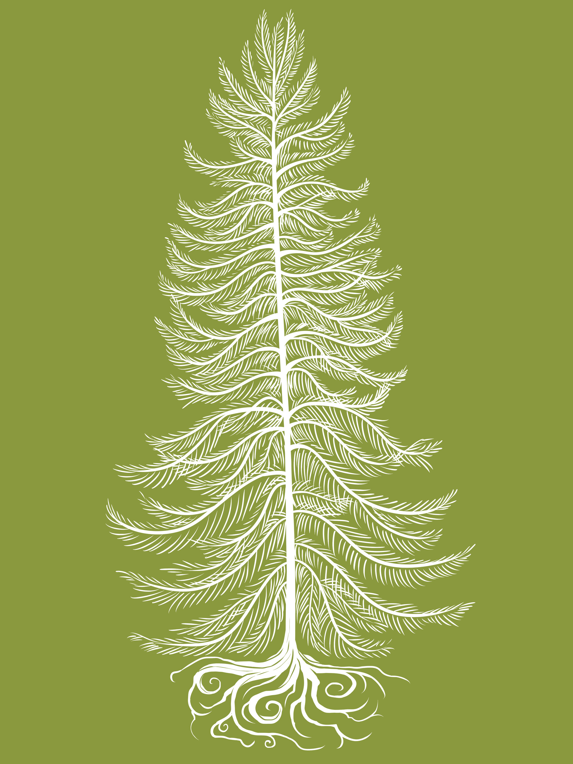 Verd Skov - Official Trees of Canada