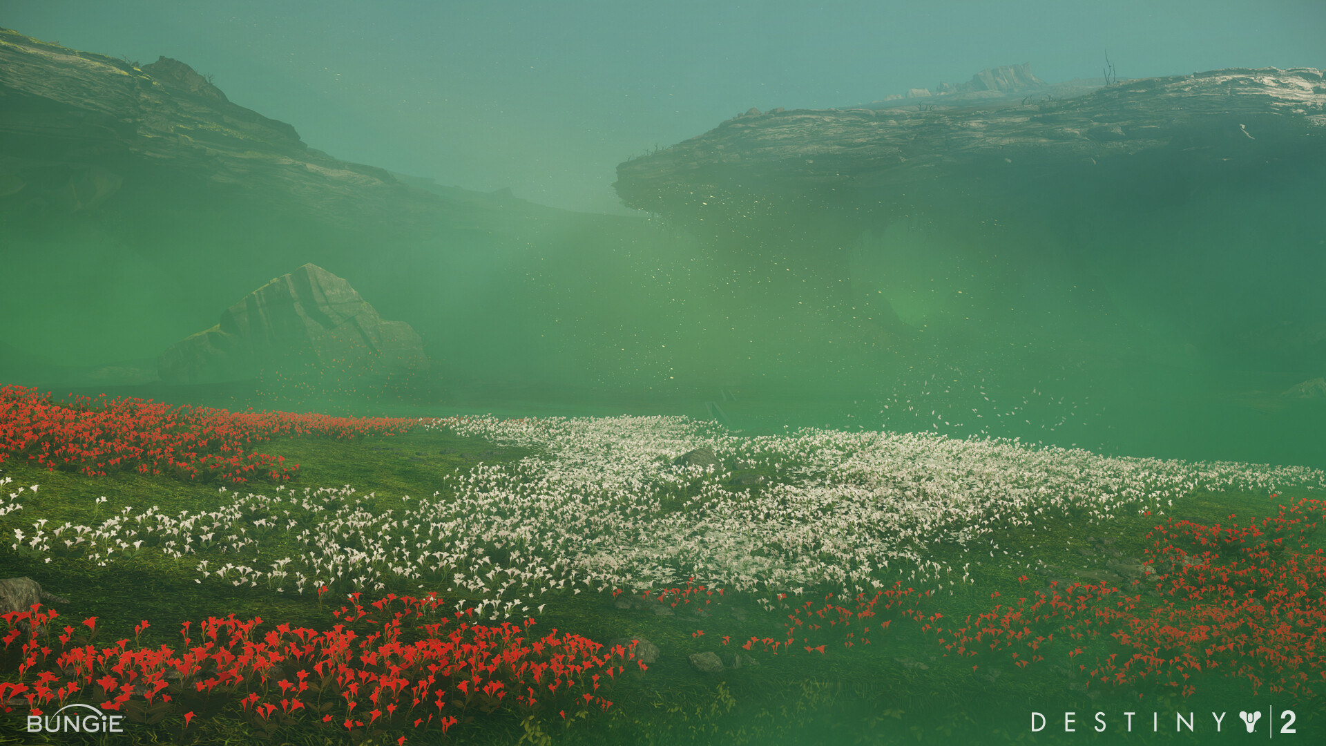 Eric Cassels - Destiny 2: Black Garden Skybox