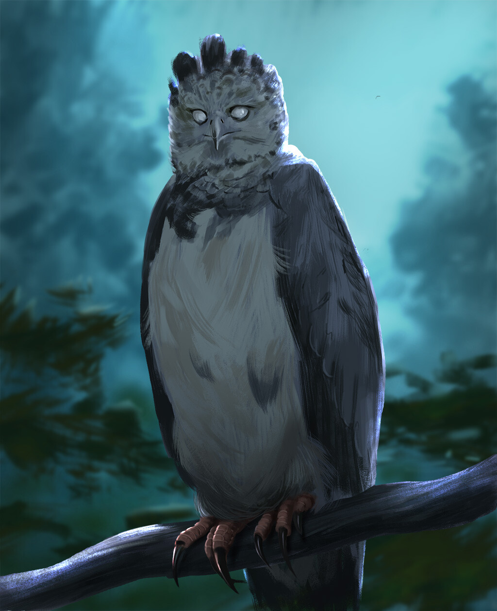 harpy eagle wallpaper