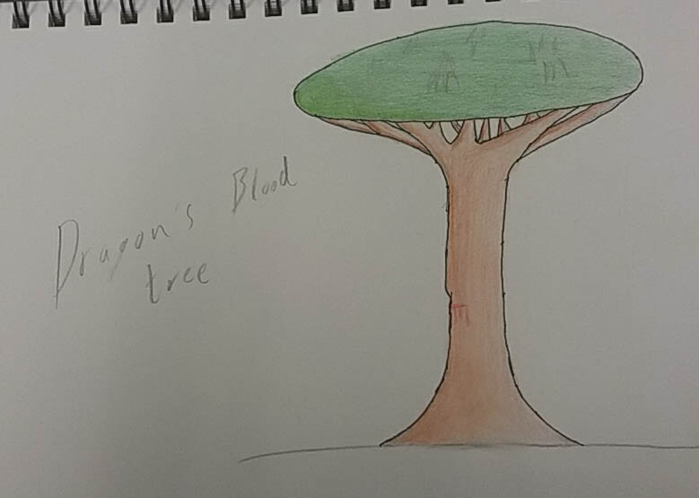 ArtStation - Dragon's Blood tree