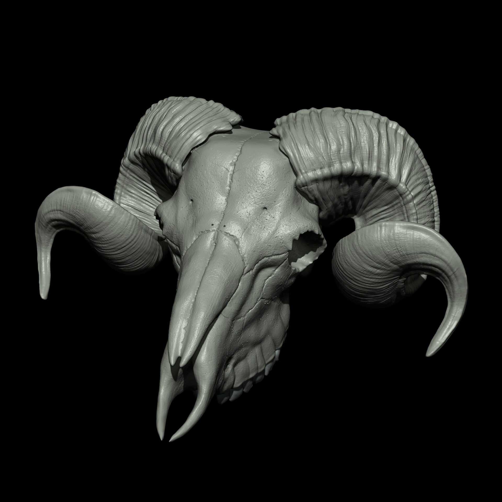 ArtStation - skull anatomy study