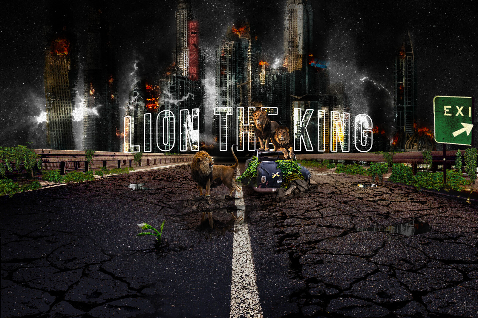 Adam Lary - Lion The King