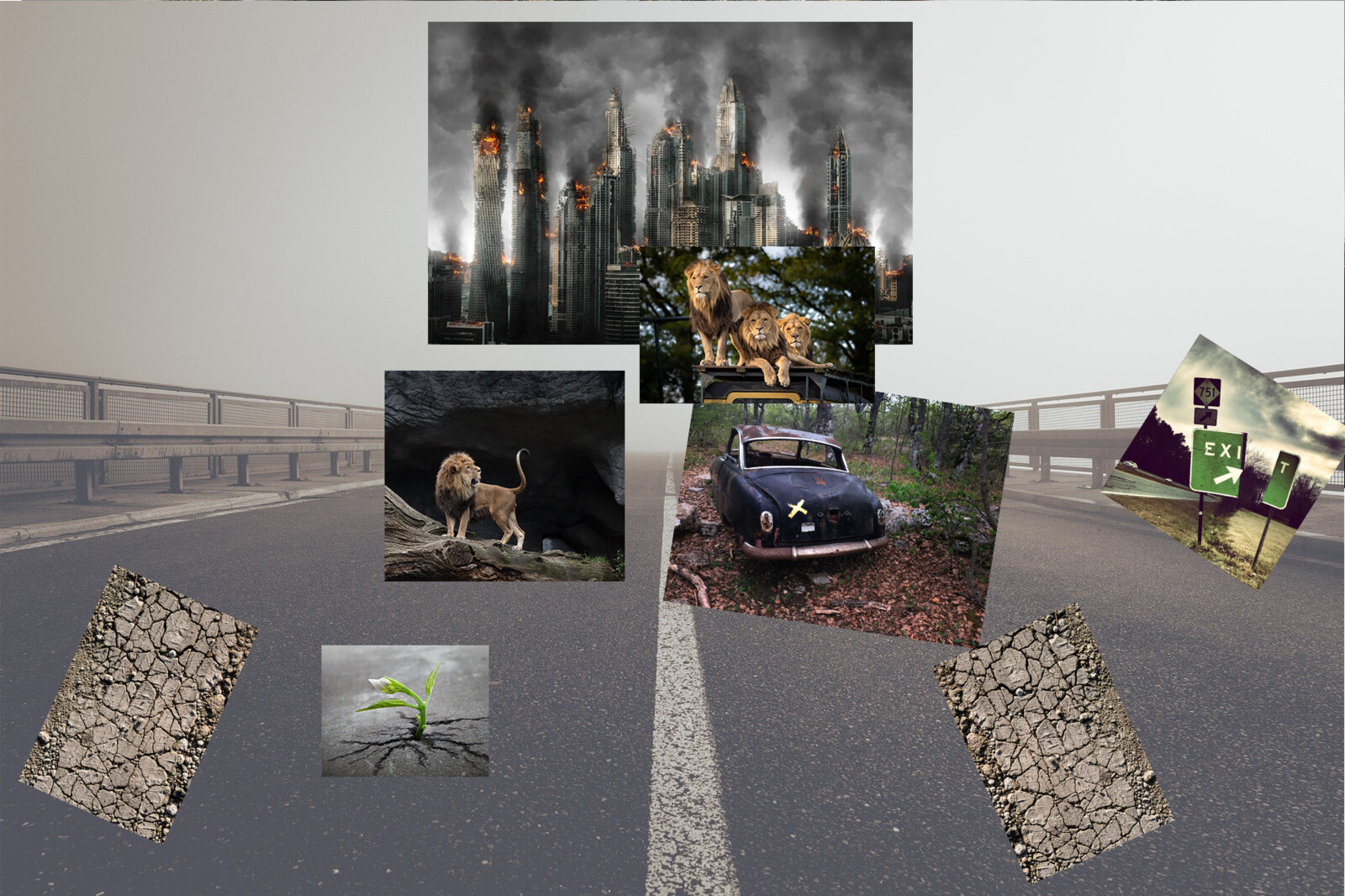 Adam Lary - Lion The King