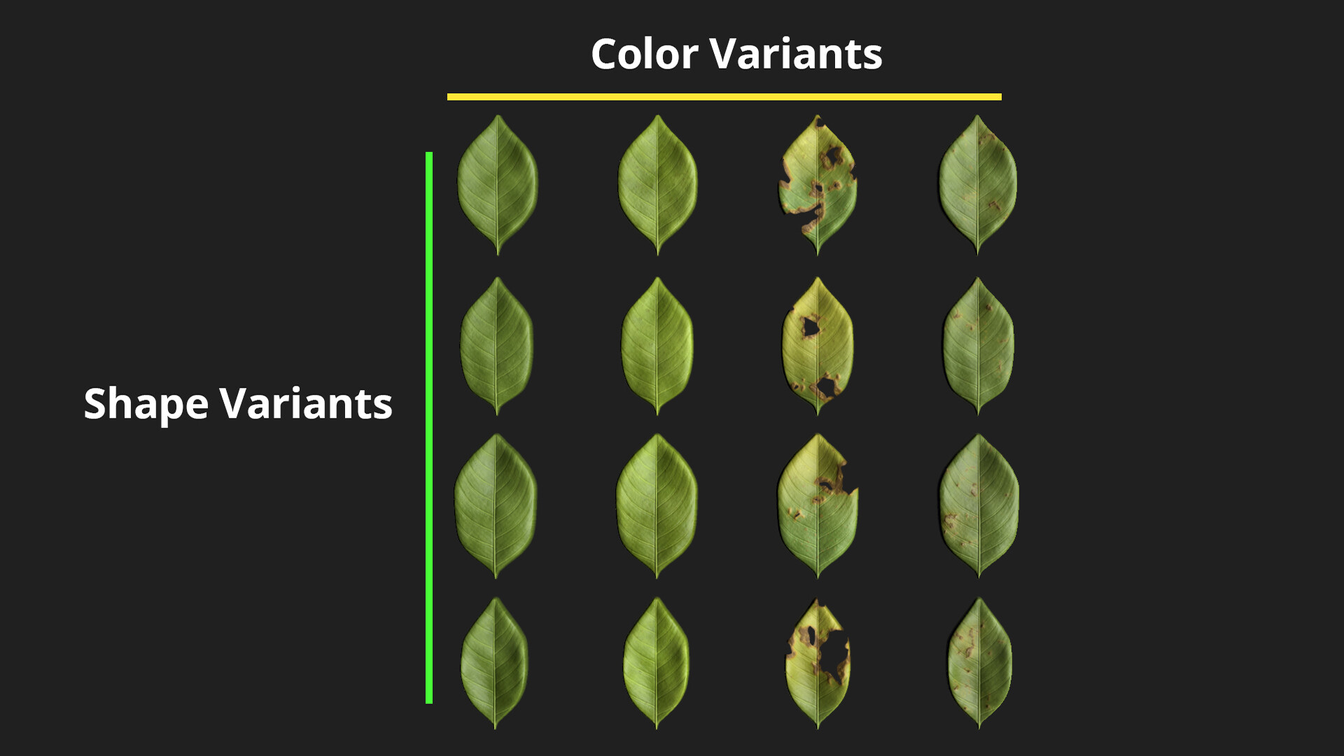 Jonnathan Mercado - UE4 Tropical Rainforest