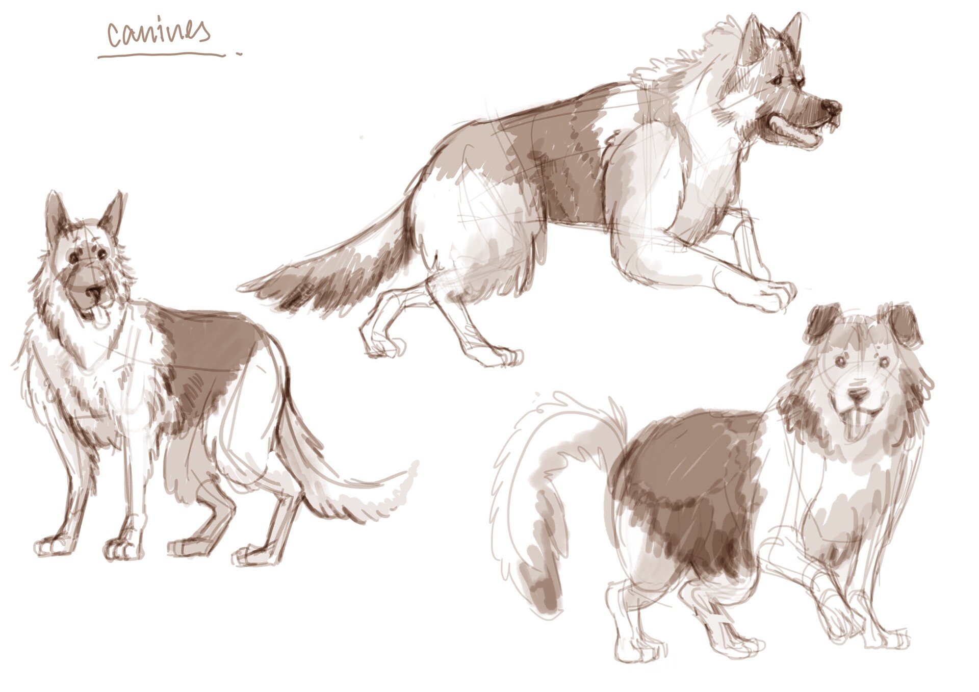 ArtStation - feline and canine studies