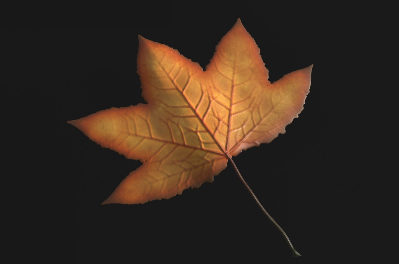 stylized leaf alpha texture