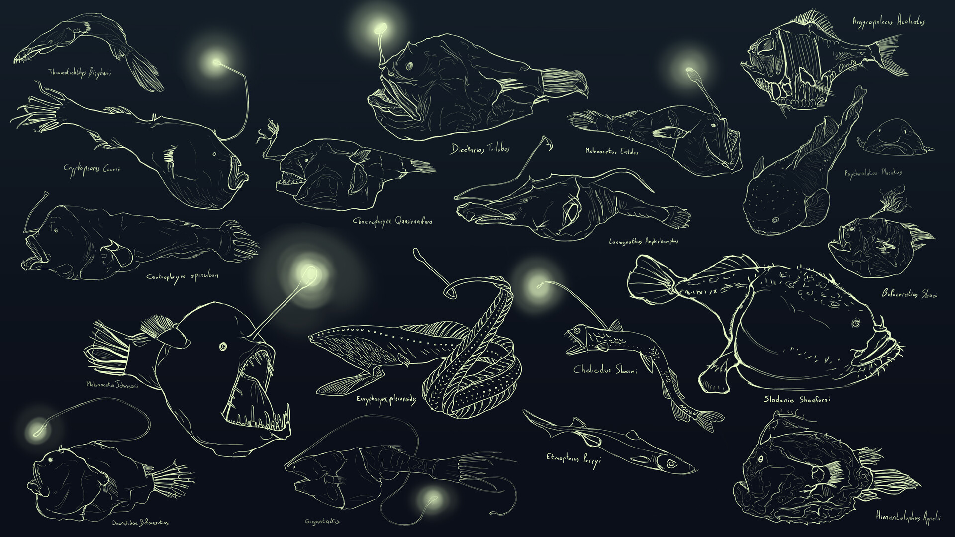 ArtStation - Abyssal fish studies