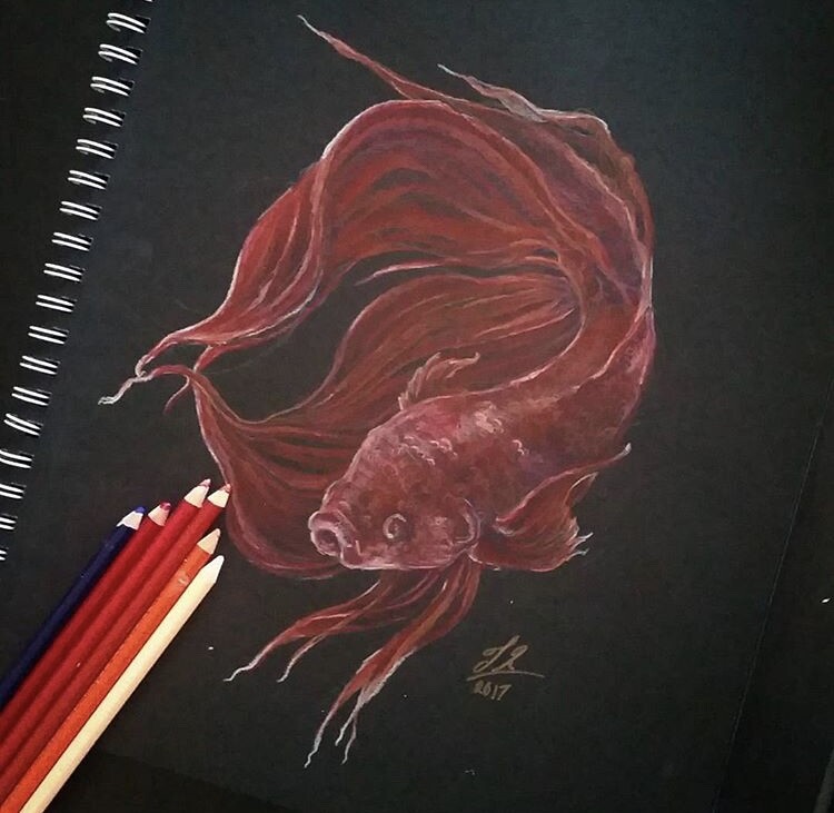 ArtStation - Pencil Crayon Beta Fish
