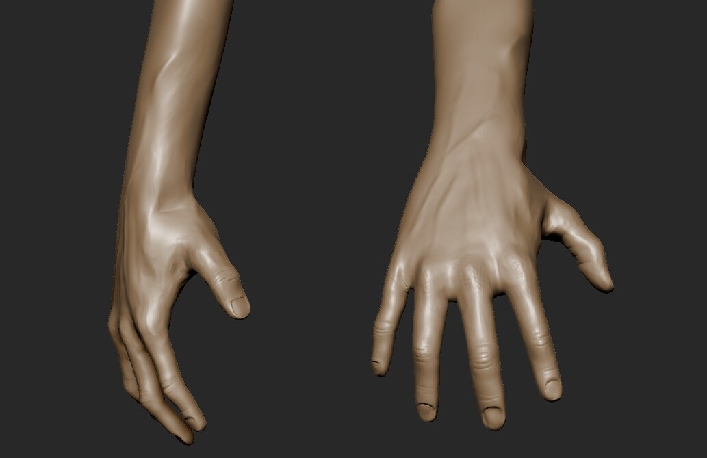 ArtStation - Hand anatomy part 2