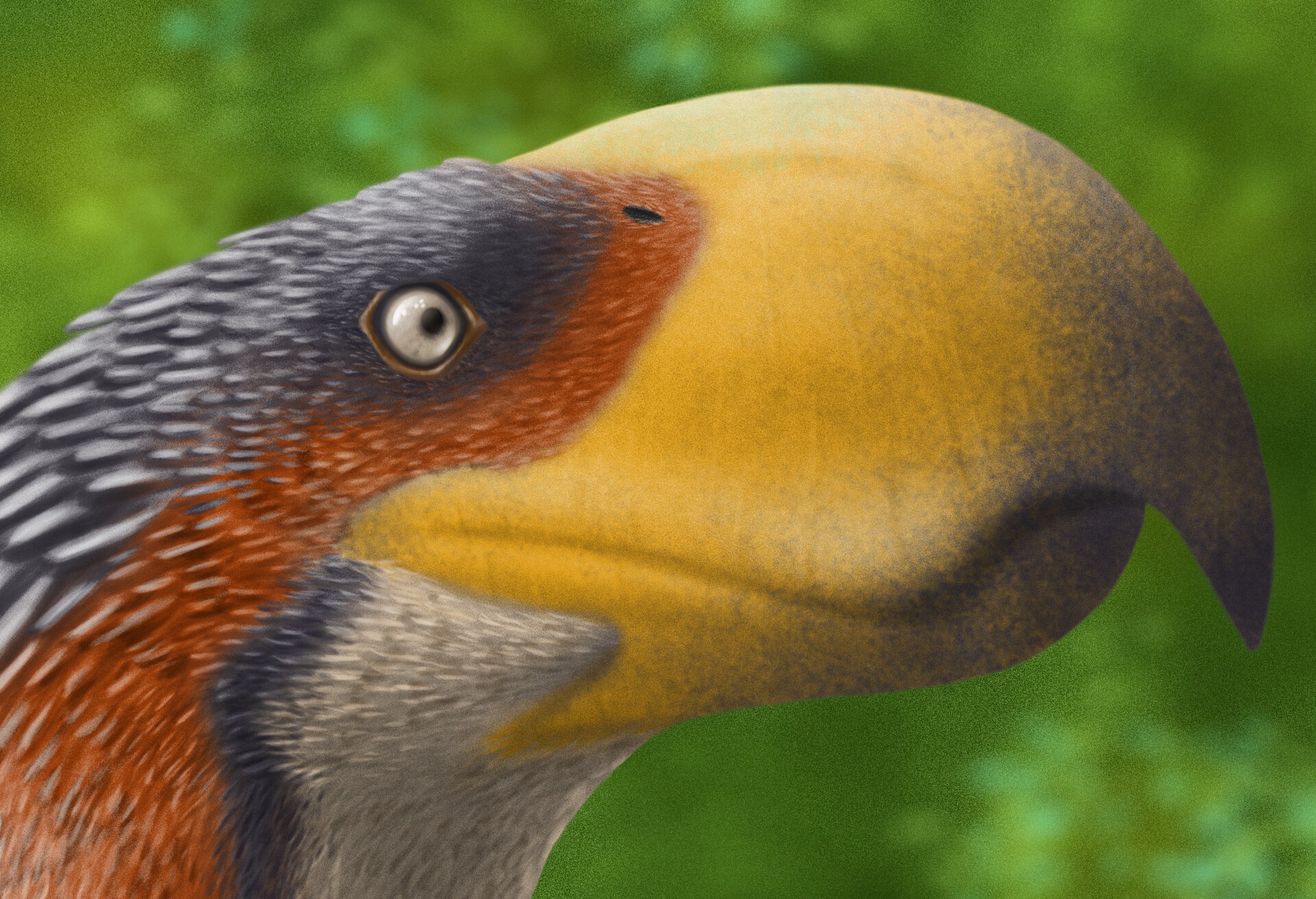 Phorusrhacos Longissimus