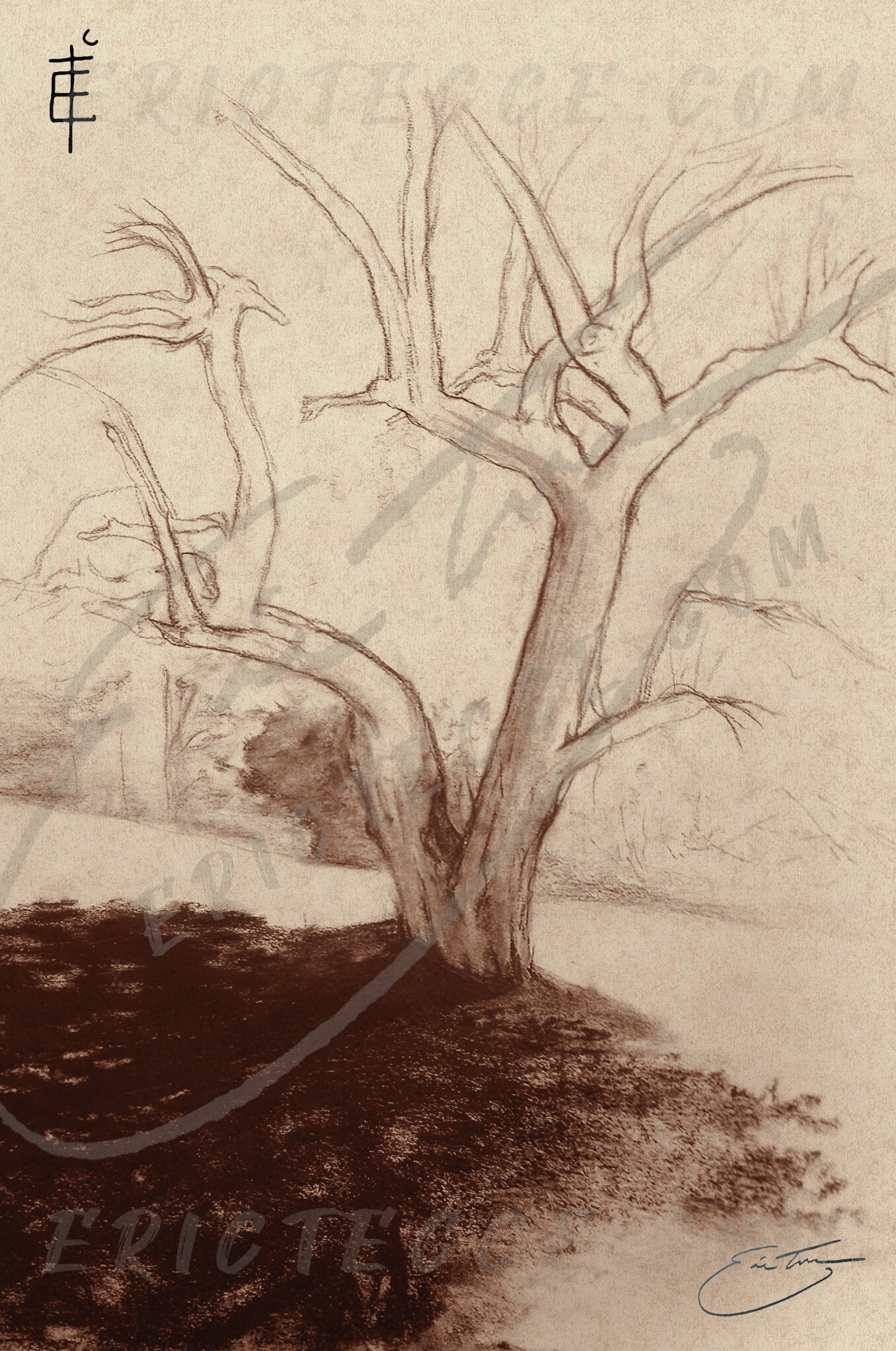 ArtStation - Still Life - Nature