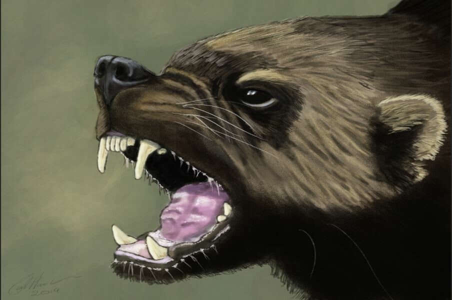 ArtStation - Wolverine