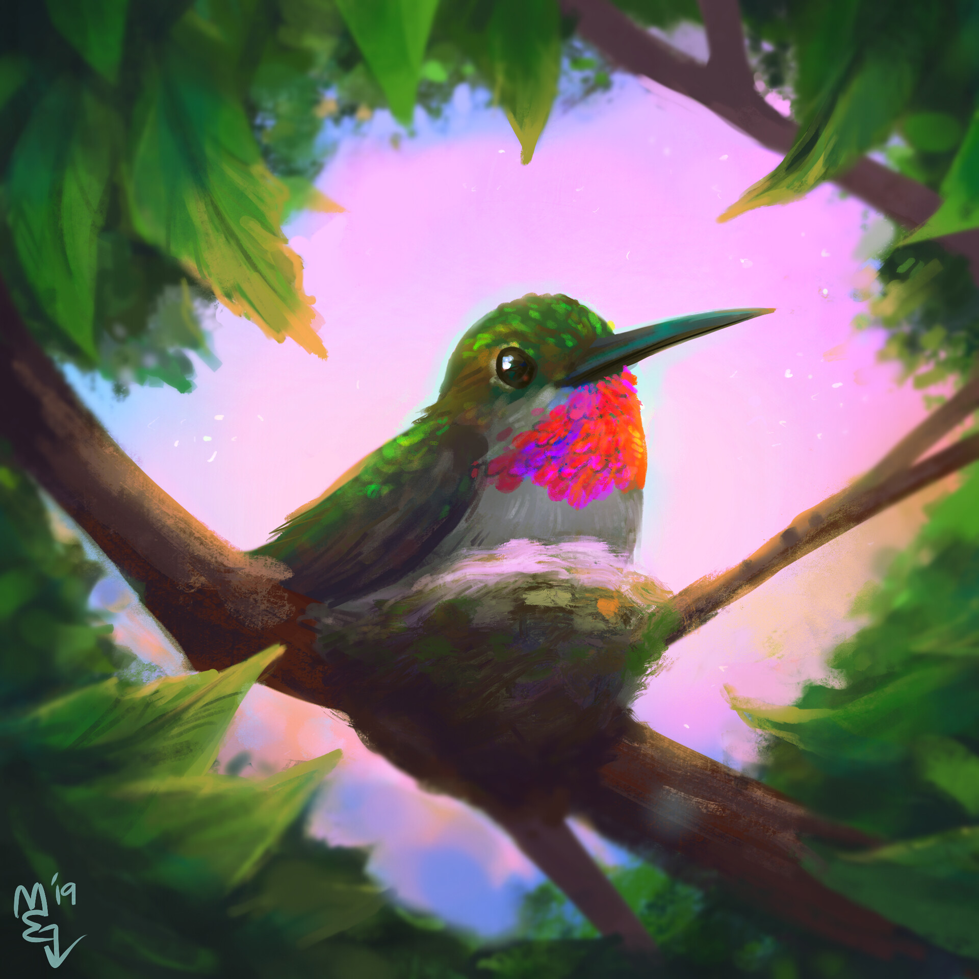 ArtStation - Hummingbird