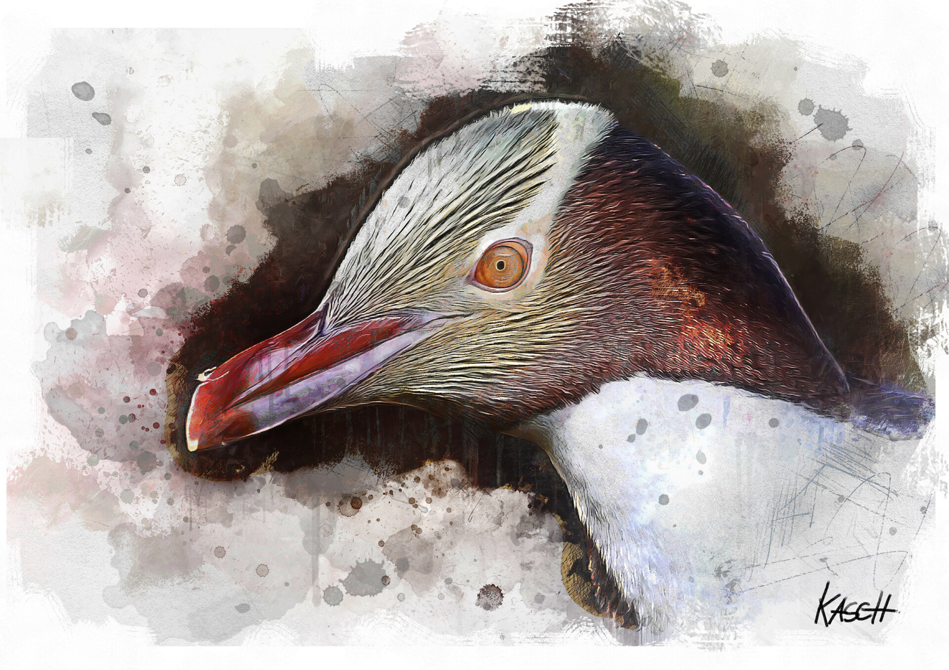 Karsten Schneider - Hoiho