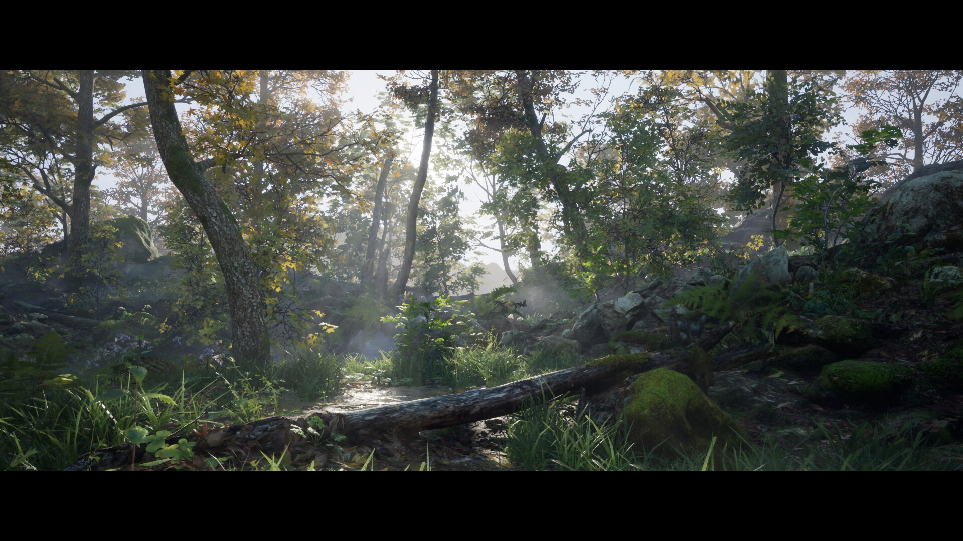 B.O.W.👁‍🗨 - Forest sunlight unreal 4