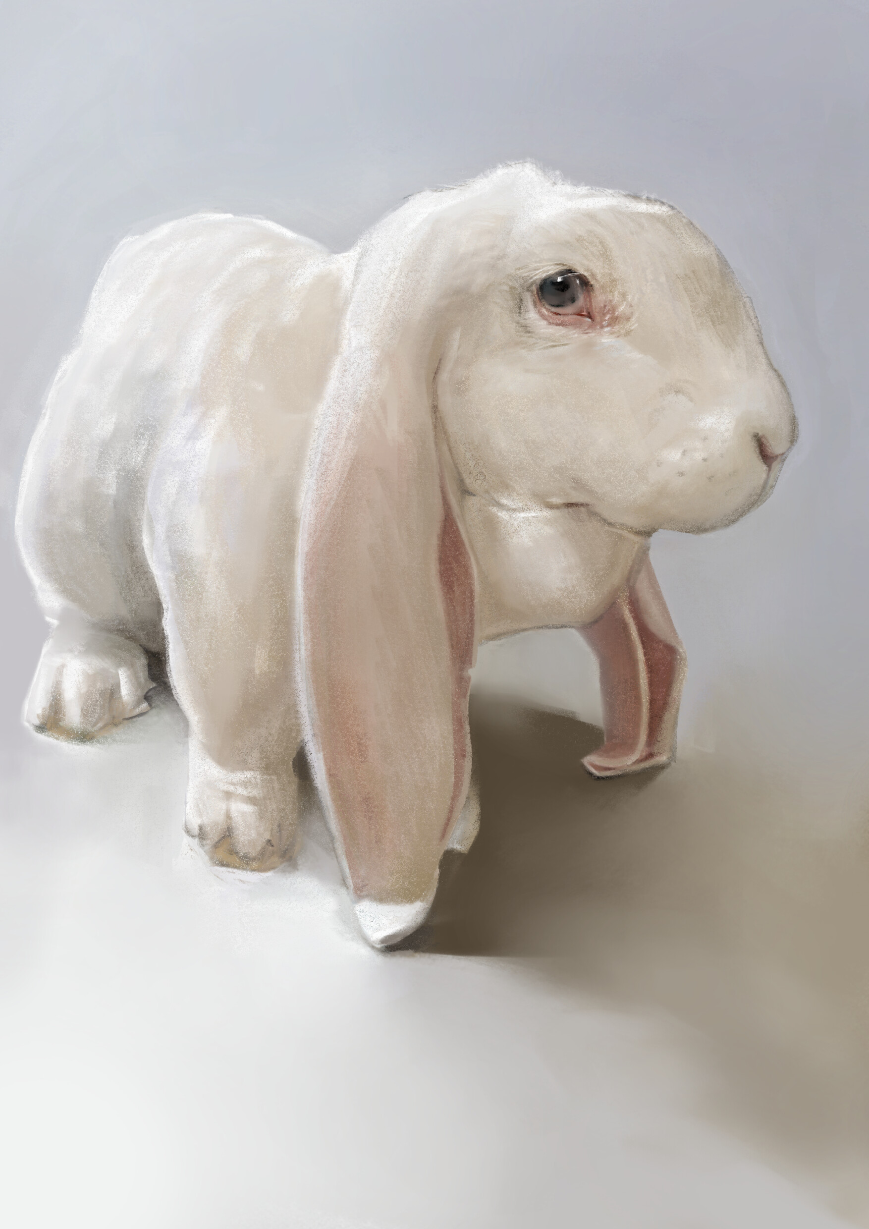 ArtStation - Random Studies 2019
