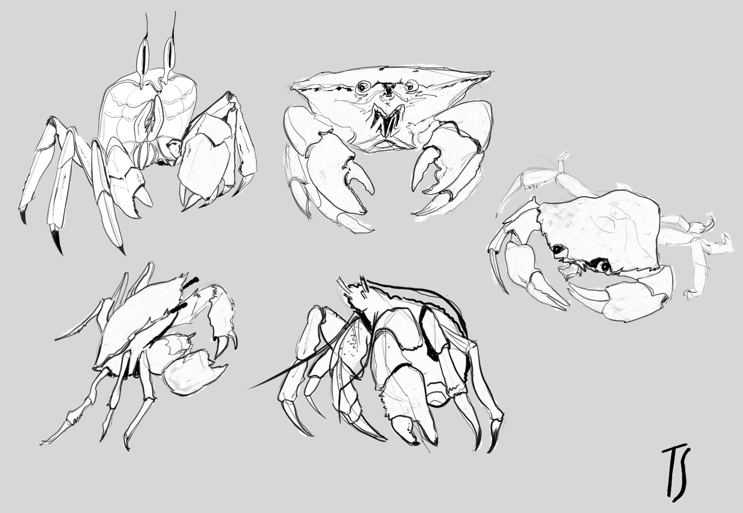 ArtStation - Crab study 1