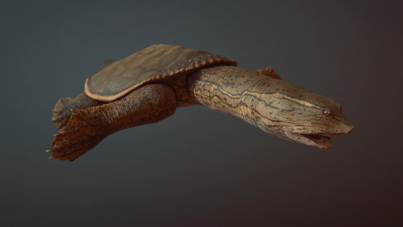 Chris Lomaka - Saurian - Animals