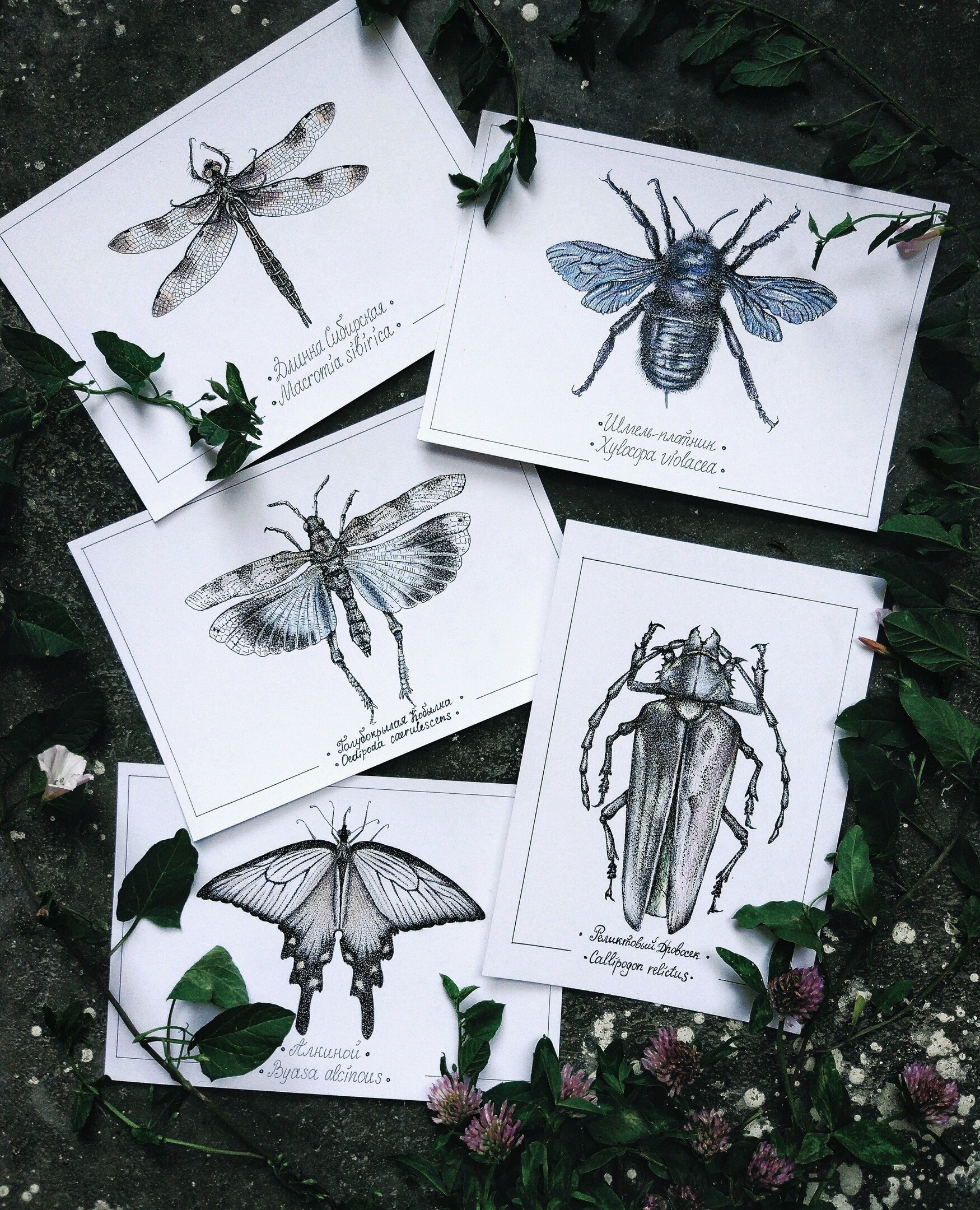 ArtStation - insects