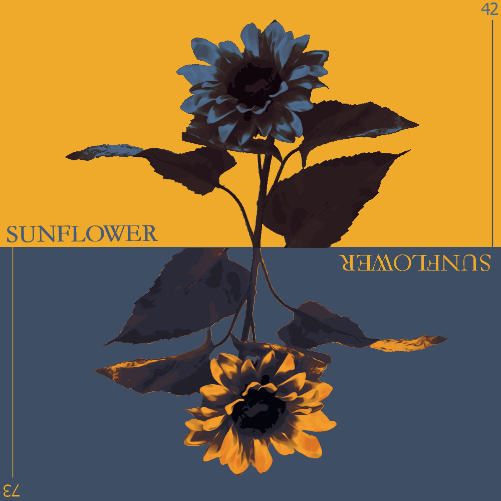 Sunflower Cover Photo