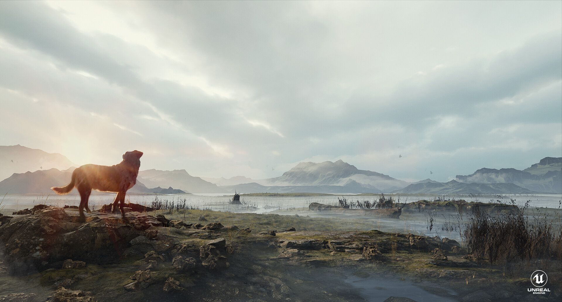 ArtStation - Swamp Dog